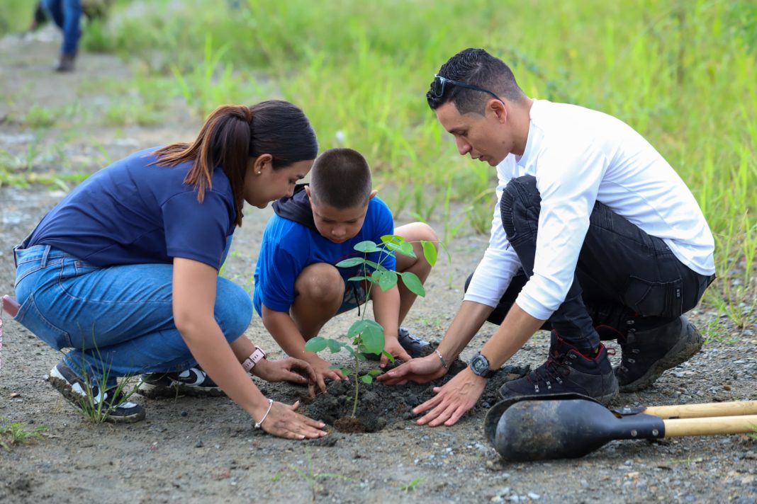 MiAMBIENTE y grupos organizados realizan reforestación en la cuenca del ...